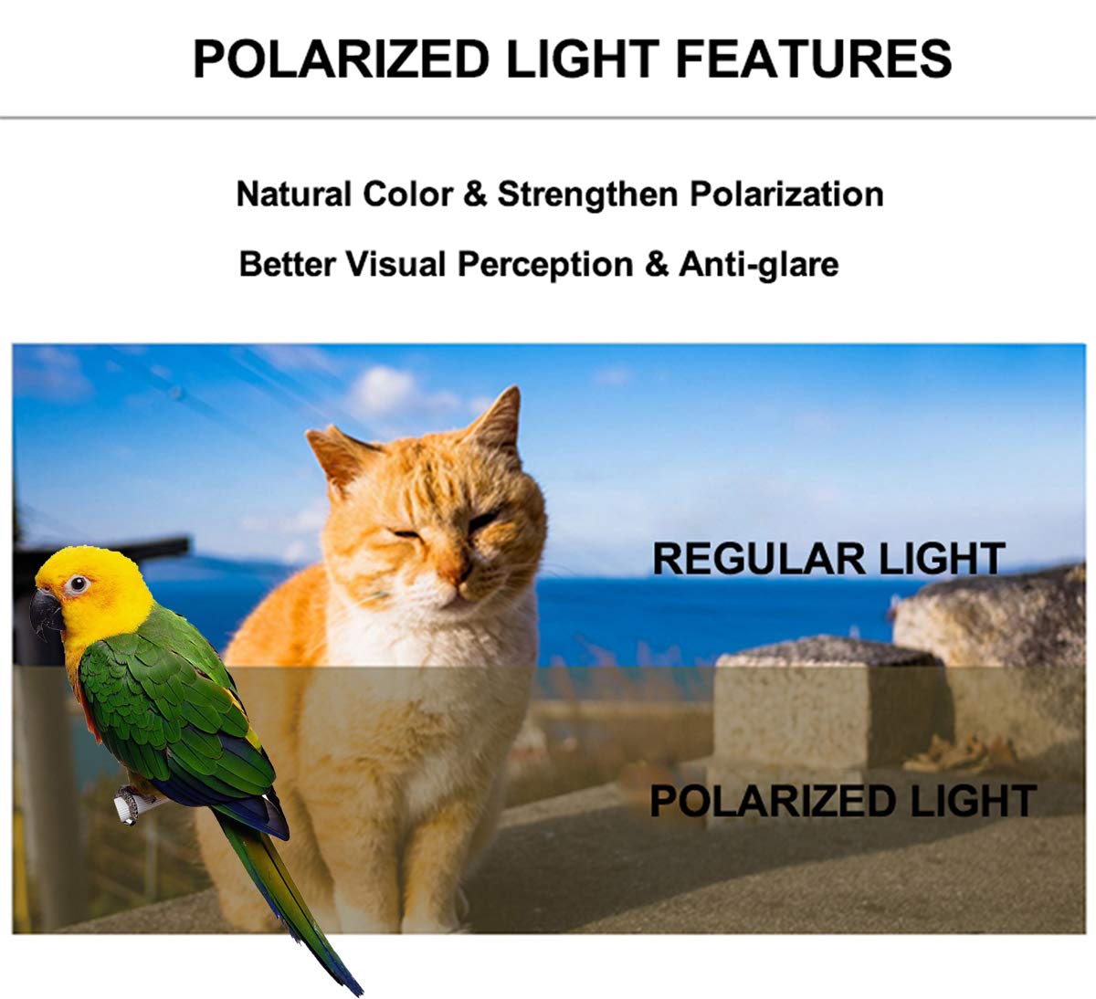 Bird Traval Carrier Cage, Polarized Tinted Blue Space Capsule Astronau ...