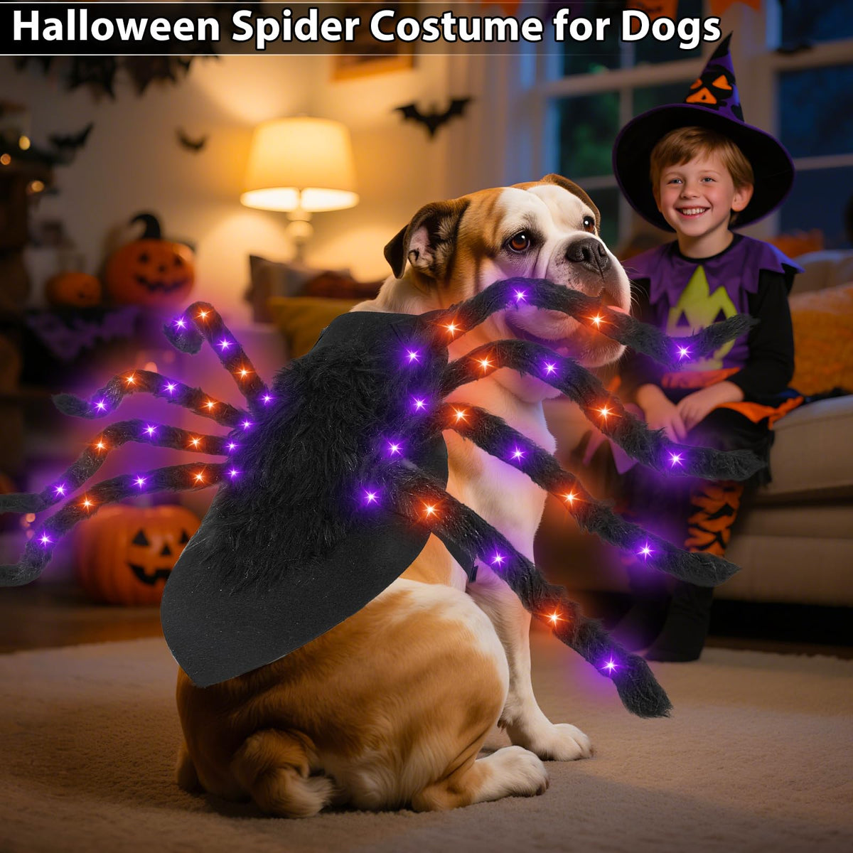 Camlinbo 24 LED Spider Dog Halloween Costume for Small Medium Large Do ...