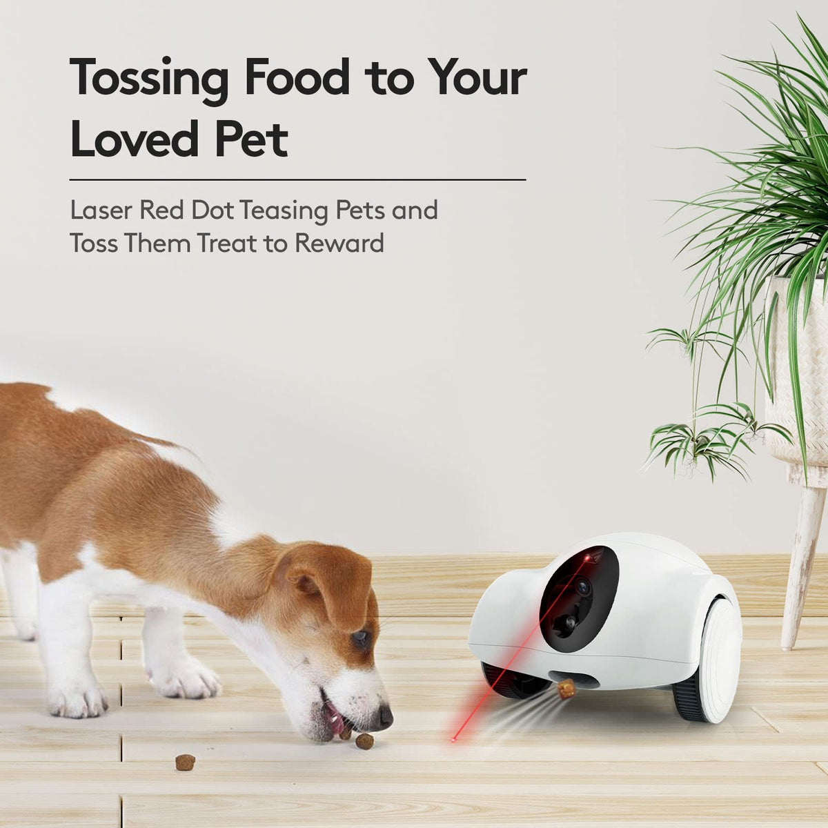 Youpet Pet Cameras with Phone App 15 Days Long Standby Pet Robot for D ...