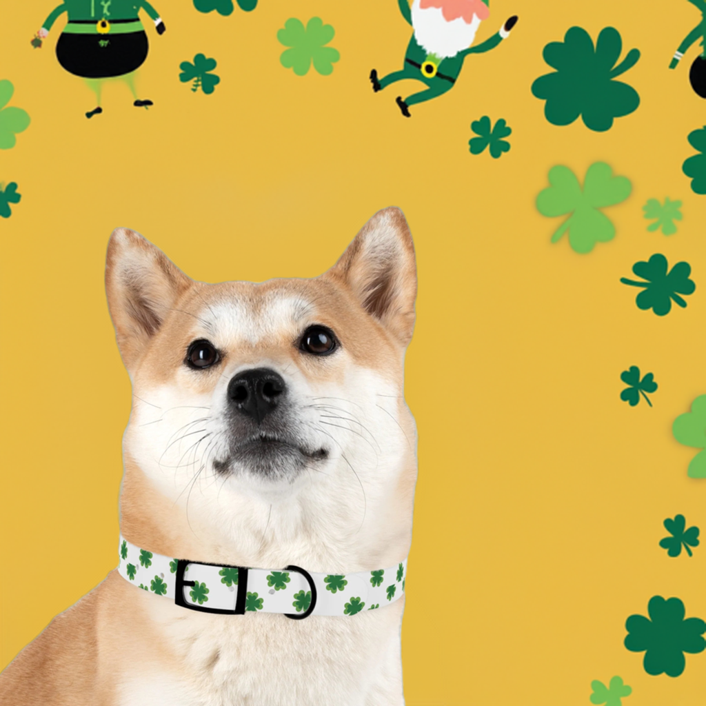 Lucky Clover Dog Collar — St. Patrick’s Day Green Shamrock Pet Collar ...